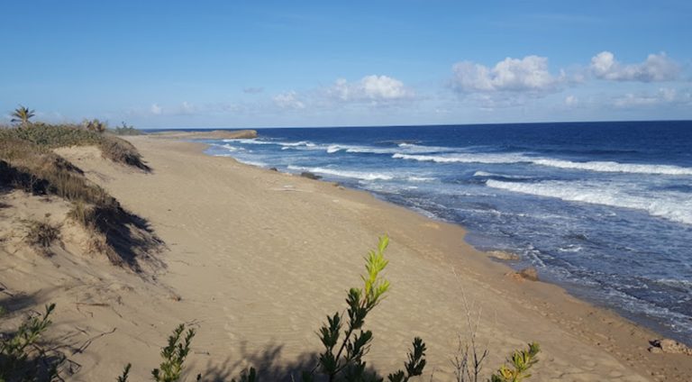 Jobos Beach – Inside Puerto Rico Beaches